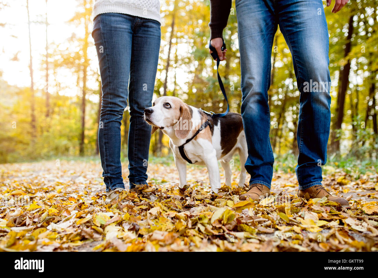 Couple walking a dog hi-res stock photography and images - Alamy