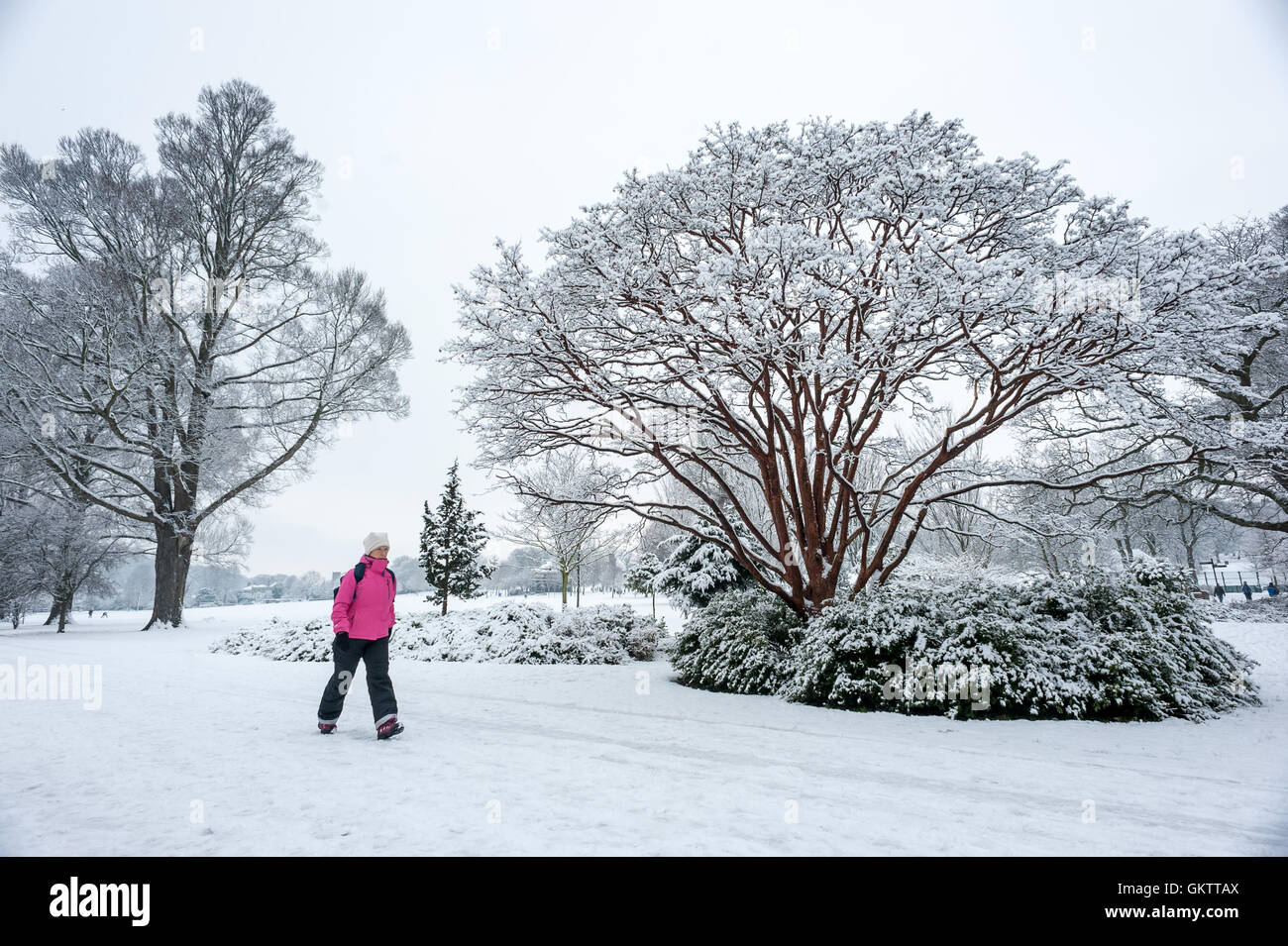 Snowfall in Preston Park, Brighton Stock Photo - Alamy