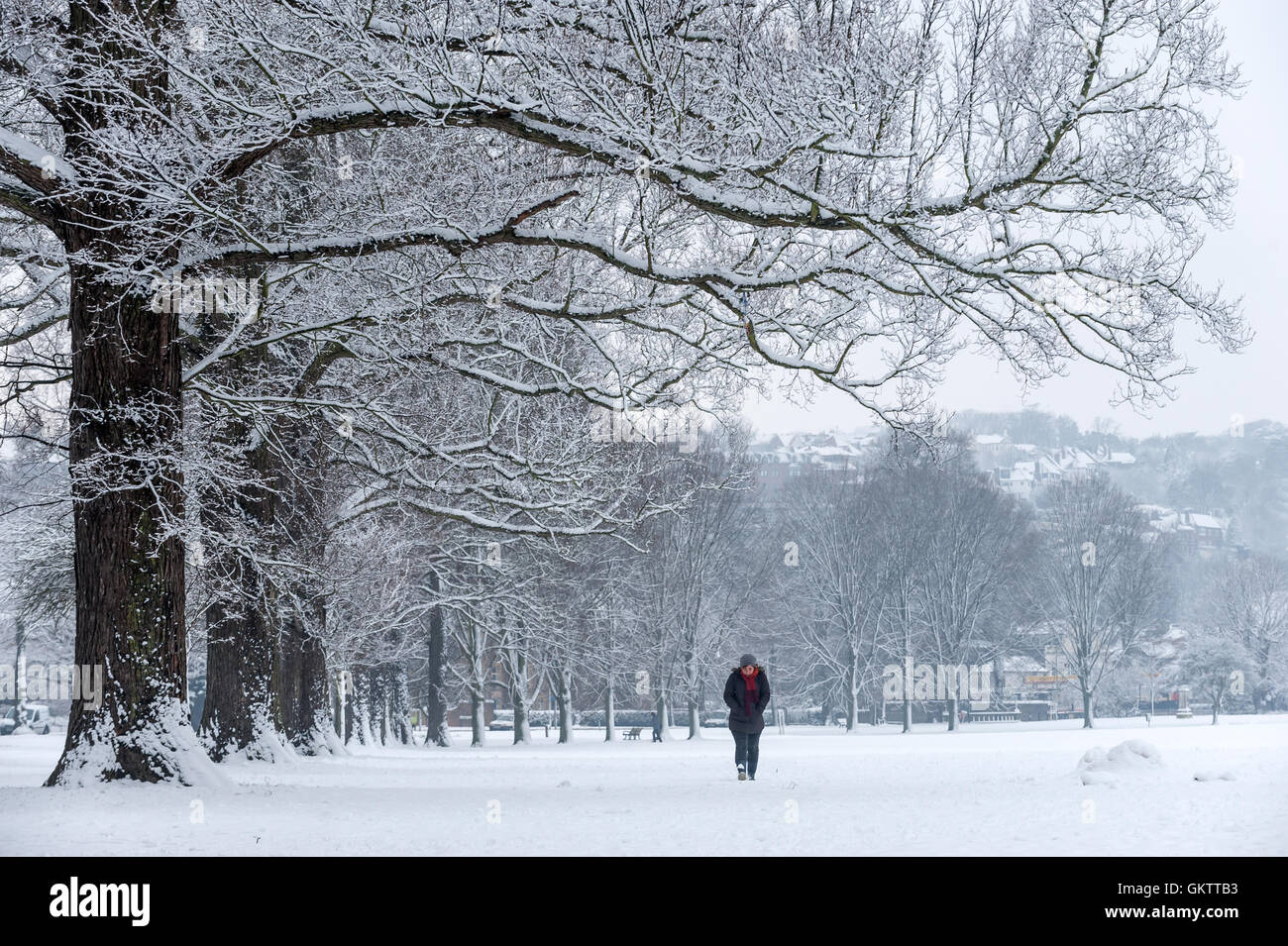 Snowfall in Preston Park, Brighton Stock Photo - Alamy