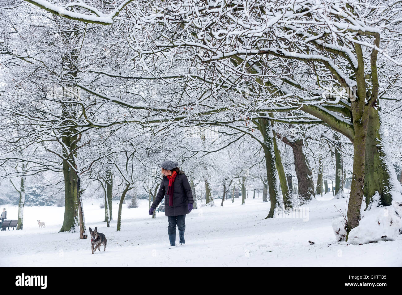 Snowfall in Preston Park, Brighton Stock Photo - Alamy