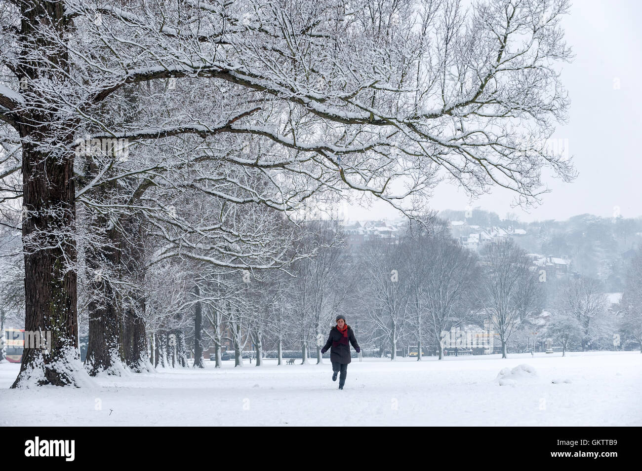Snowfall in Preston Park, Brighton Stock Photo - Alamy