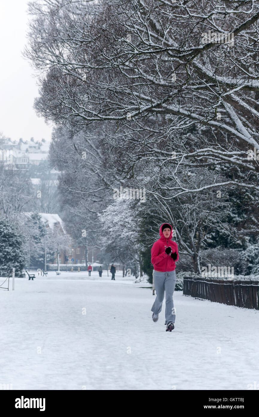 Snowfall in Preston Park, Brighton Stock Photo - Alamy