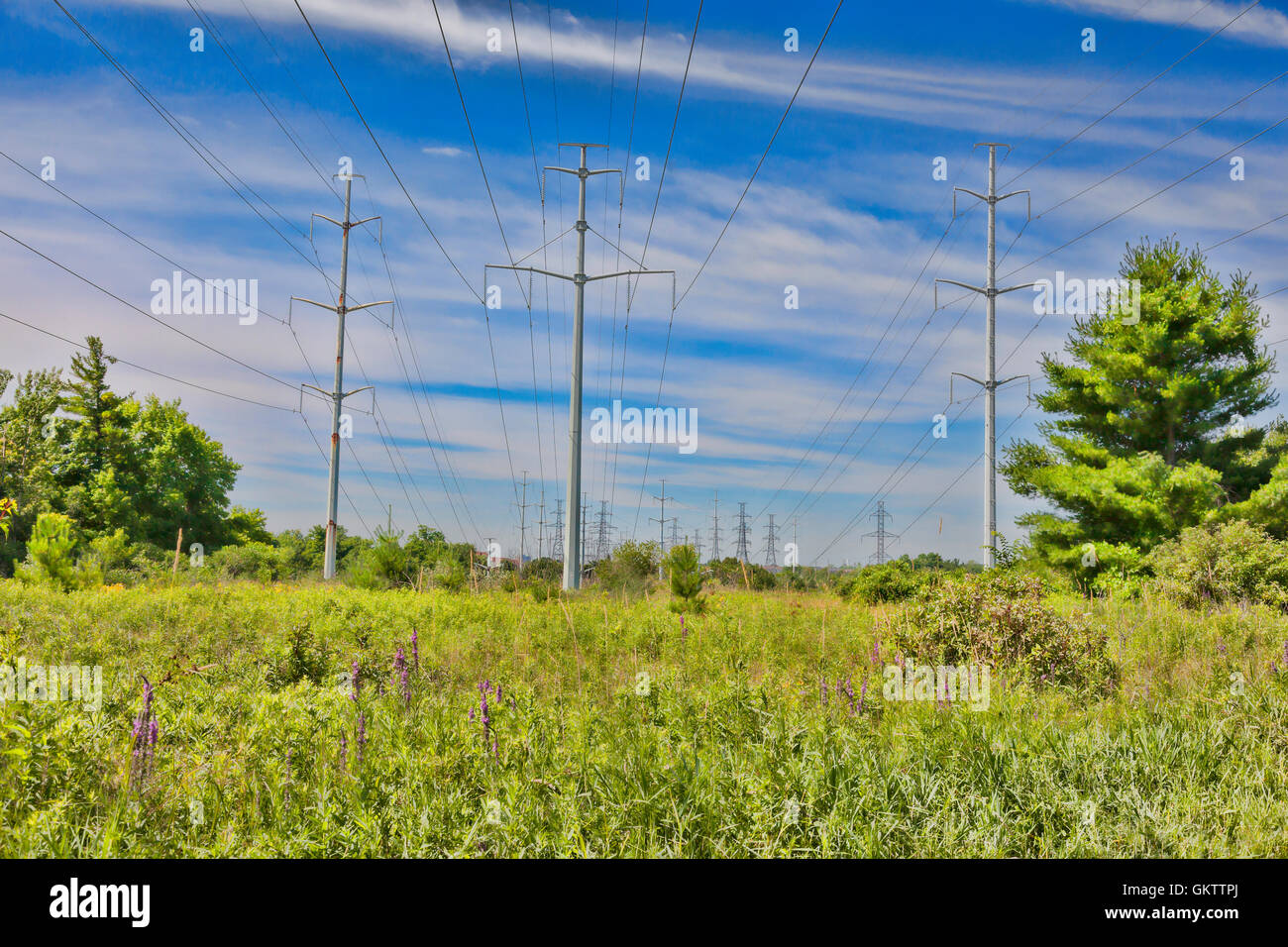 Power lines in Ontario, Canada Stock Photo - Alamy