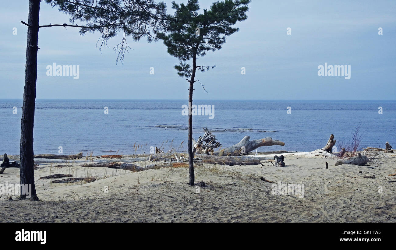 Baltic sea view Stock Photo - Alamy