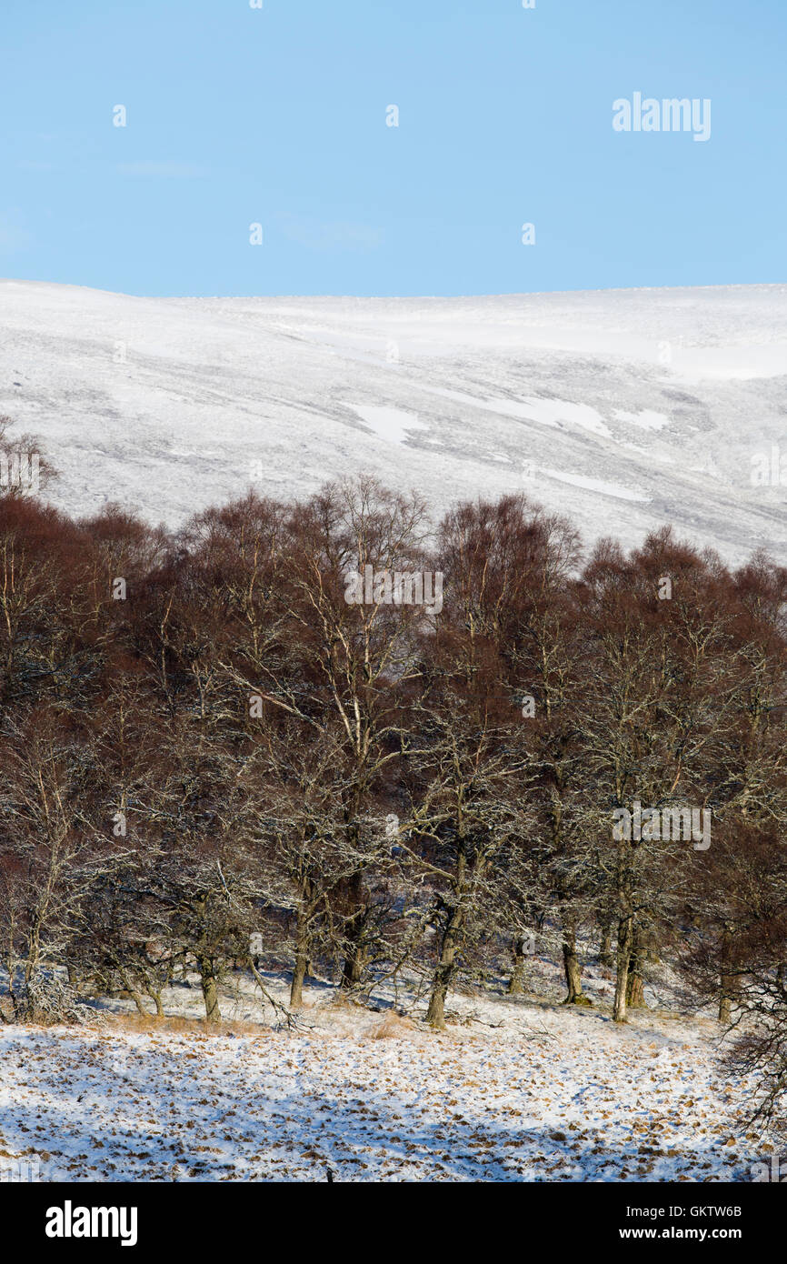 Glenlivet estate snow hi-res stock photography and images - Alamy