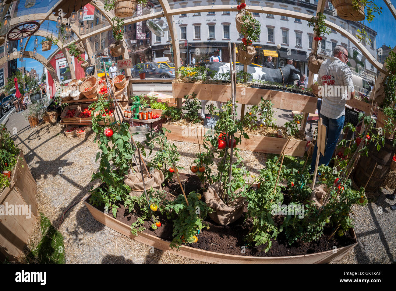 Chelsea farmers market hi-res stock photography and images - Alamy