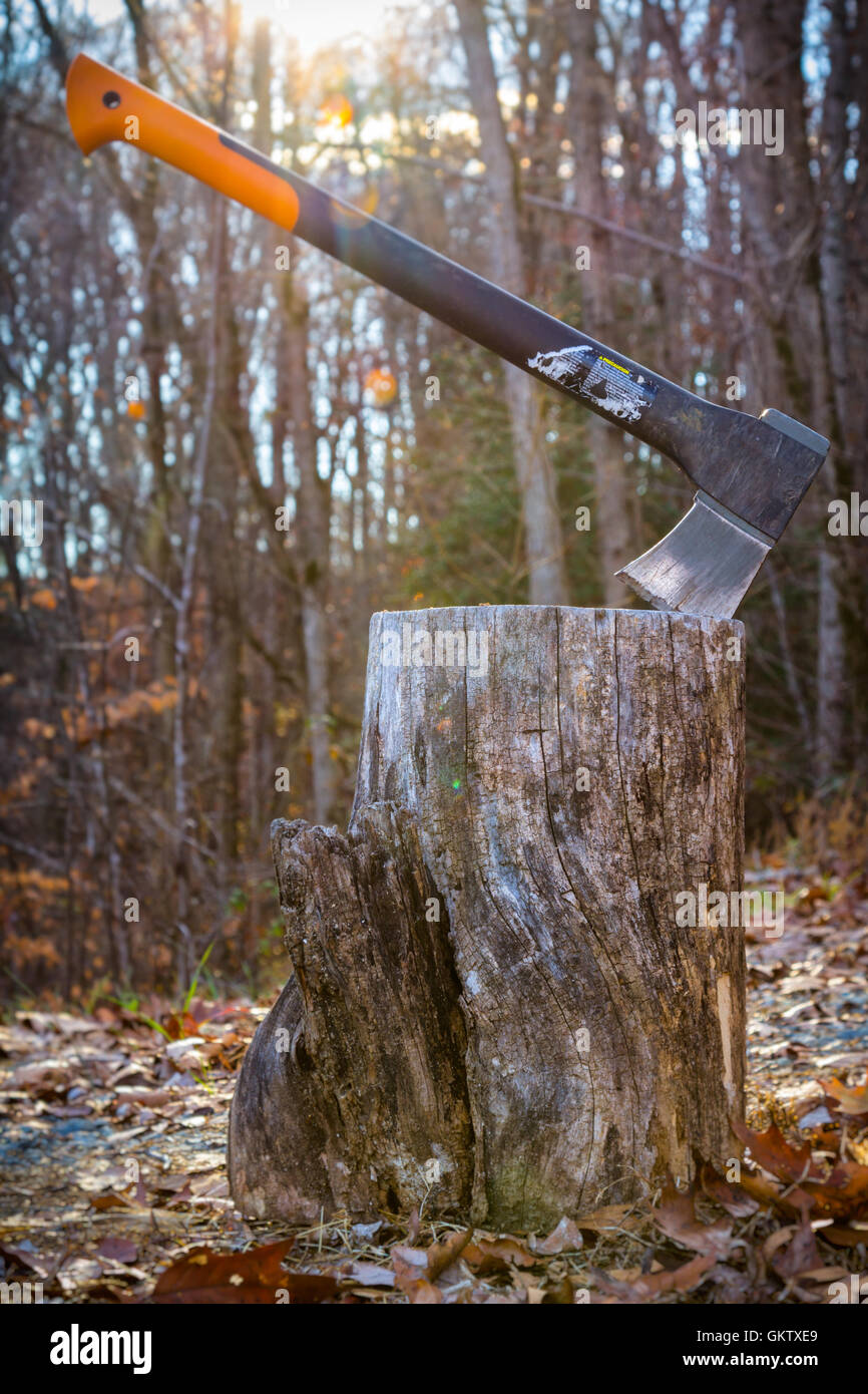 Ax is embedded in old chopping stump in the forest with back lighting ...