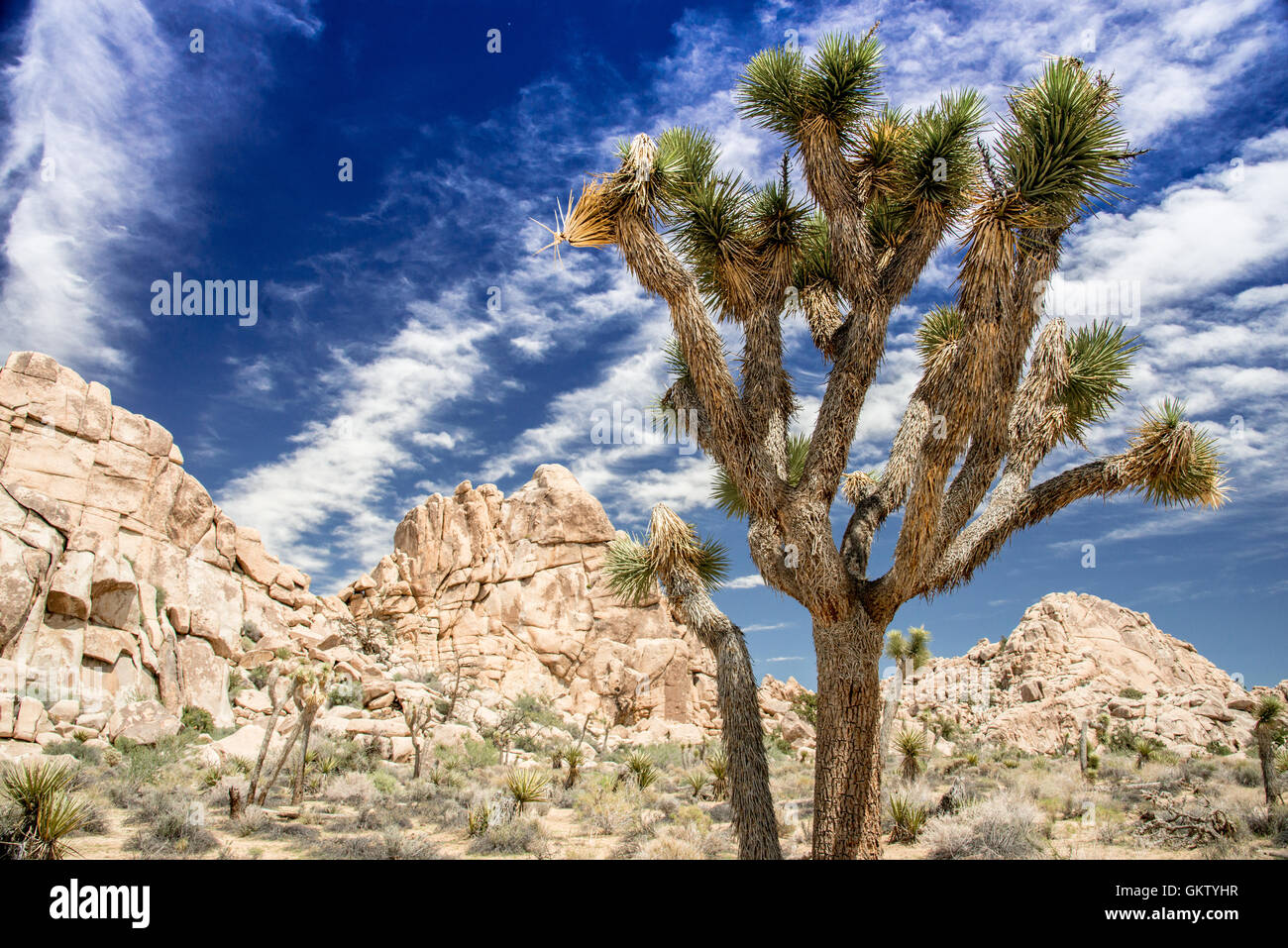 Panorama park palm springs hi-res stock photography and images - Alamy