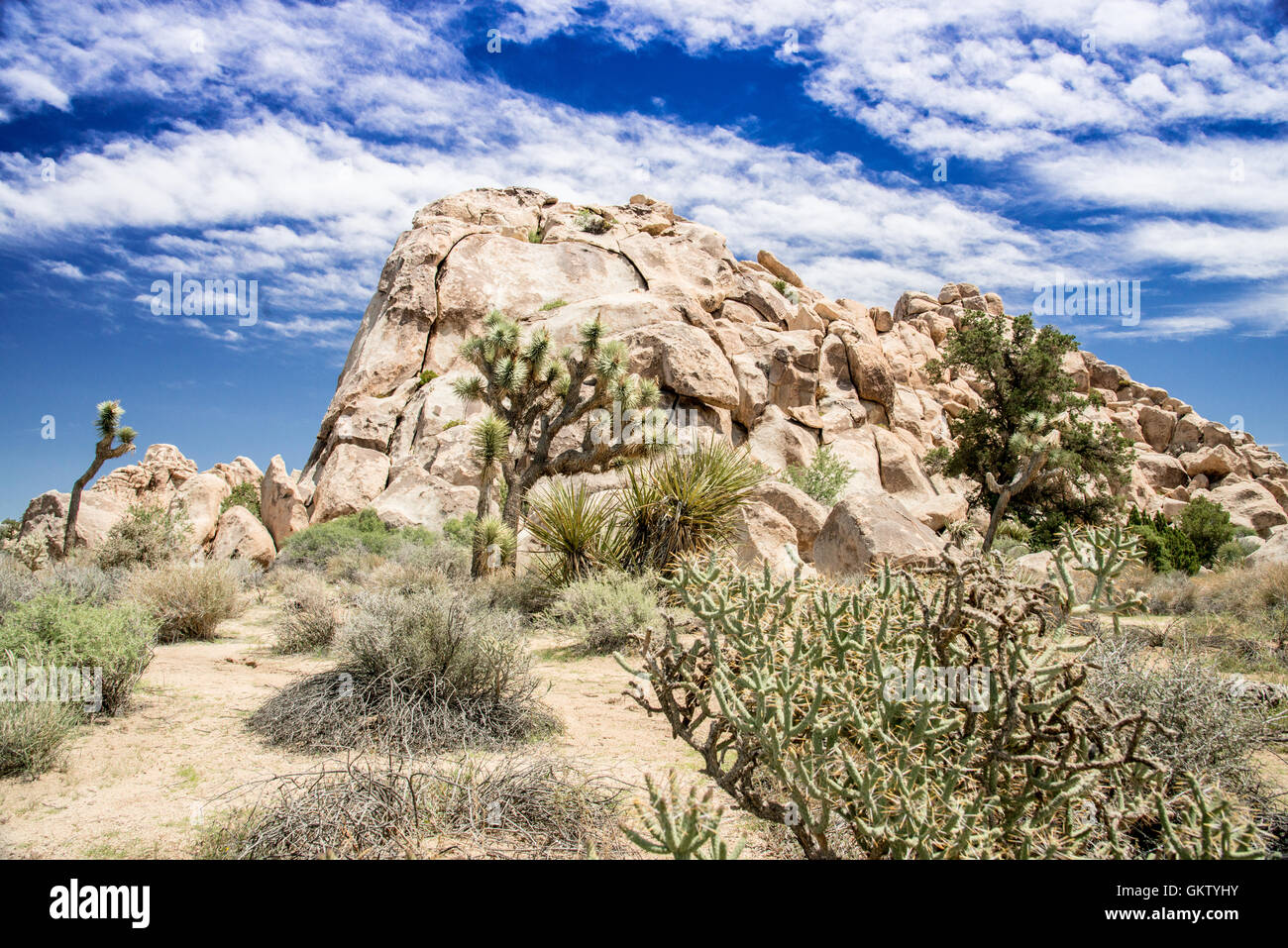Panorama park palm springs hi-res stock photography and images - Alamy