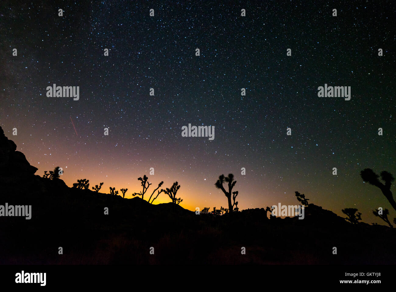 Nighttime desert plant hi-res stock photography and images - Alamy