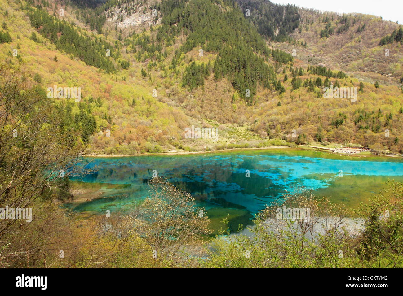 Five flower lake in Jiuzhaigou National Park China Stock Photo - Alamy