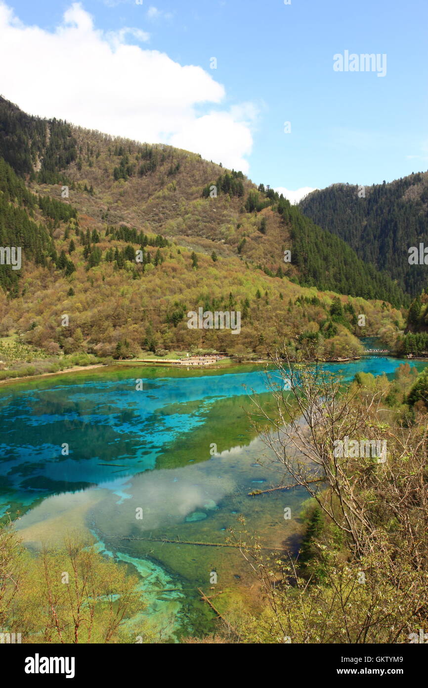 Jiuzhaigou flower hi-res stock photography and images - Alamy