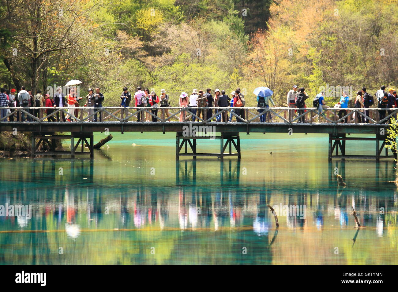 Tourists sightsee in Jiuzhaigou National Park in China Stock Photo - Alamy