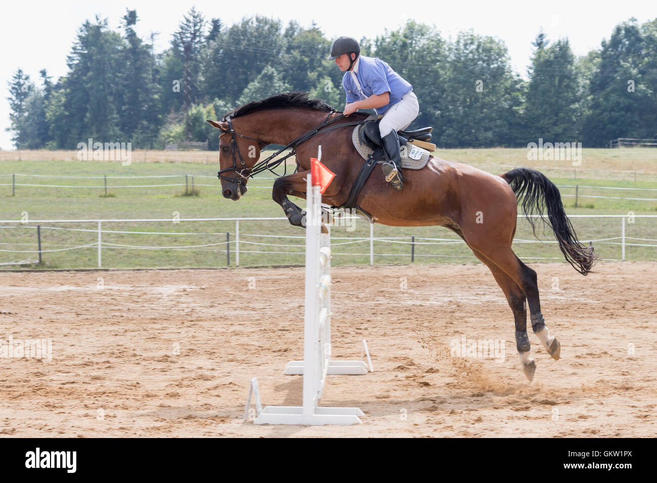 Side view of a brown horse long jump over a hurdle Stock Photo - Alamy
