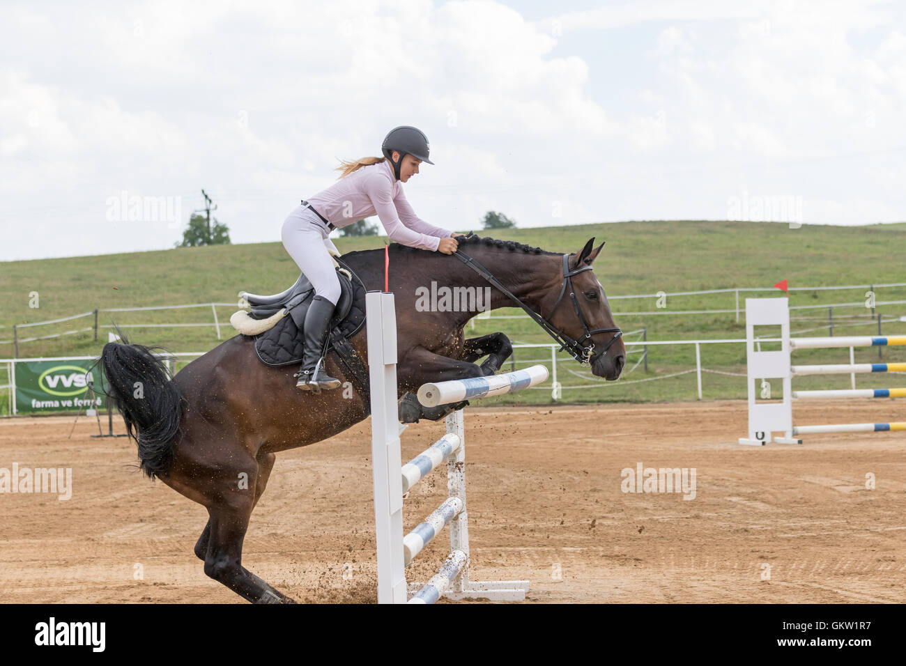 Side view of brown horse dislodging a obstacle Stock Photo - Alamy