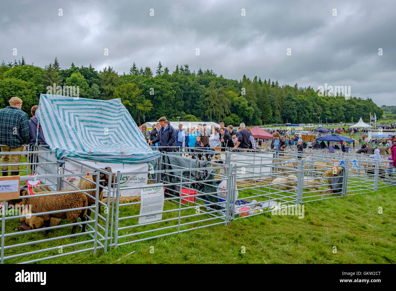 Cartmel Show 2016 Stock Photo - Alamy