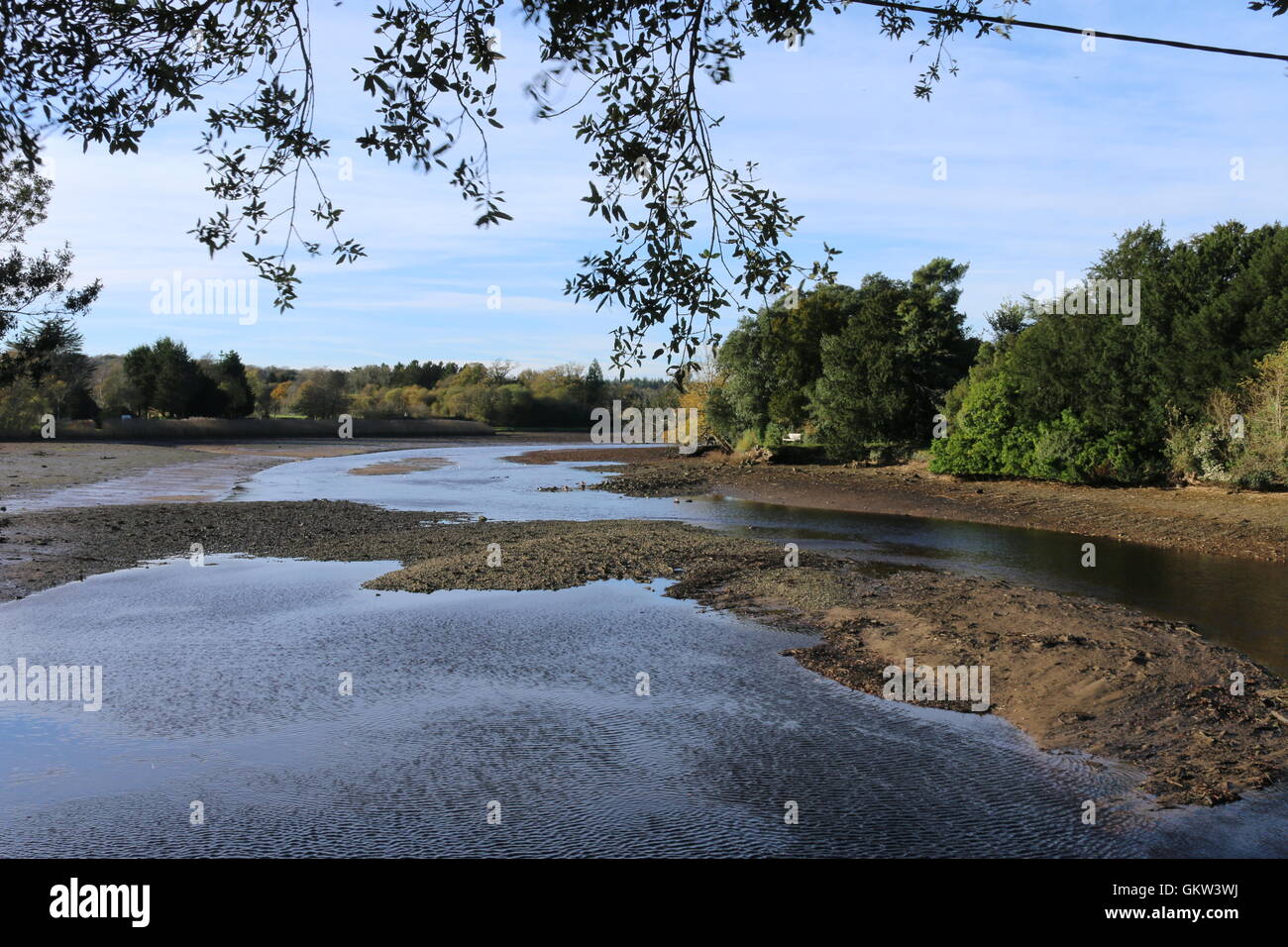 Beaulieu River in Beaulieu, New Forest, Hampshire Stock Photo - Alamy