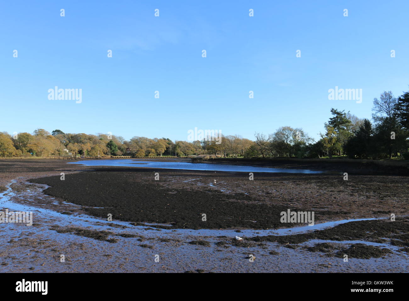 Beaulieu River in Beaulieu, New Forest, Hampshire Stock Photo - Alamy
