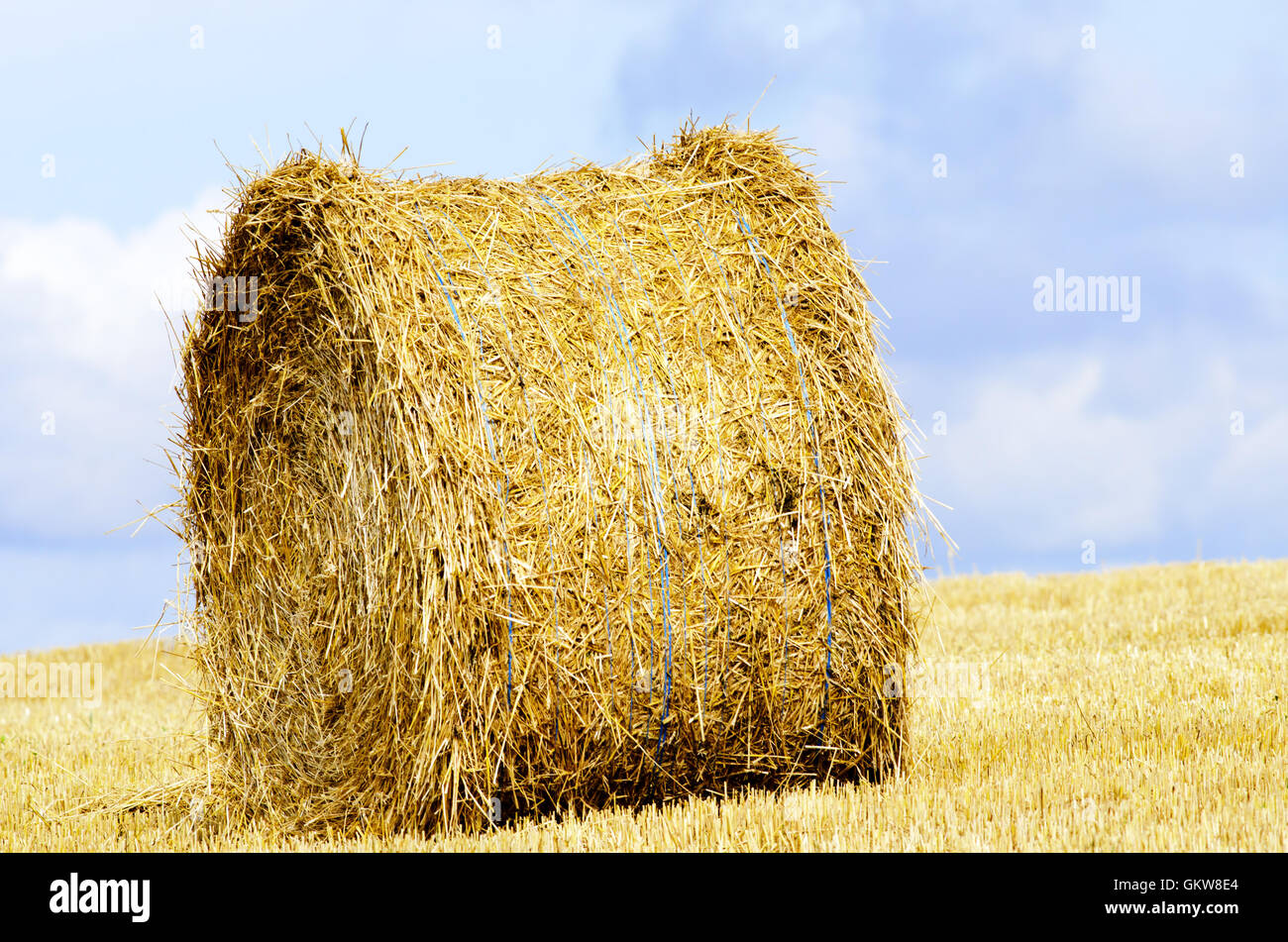 Harvest roll hi-res stock photography and images - Alamy