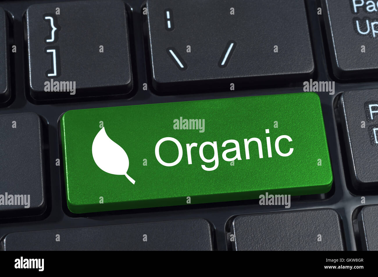 Green computer keyboard button with the word organic and leaf ic Stock ...