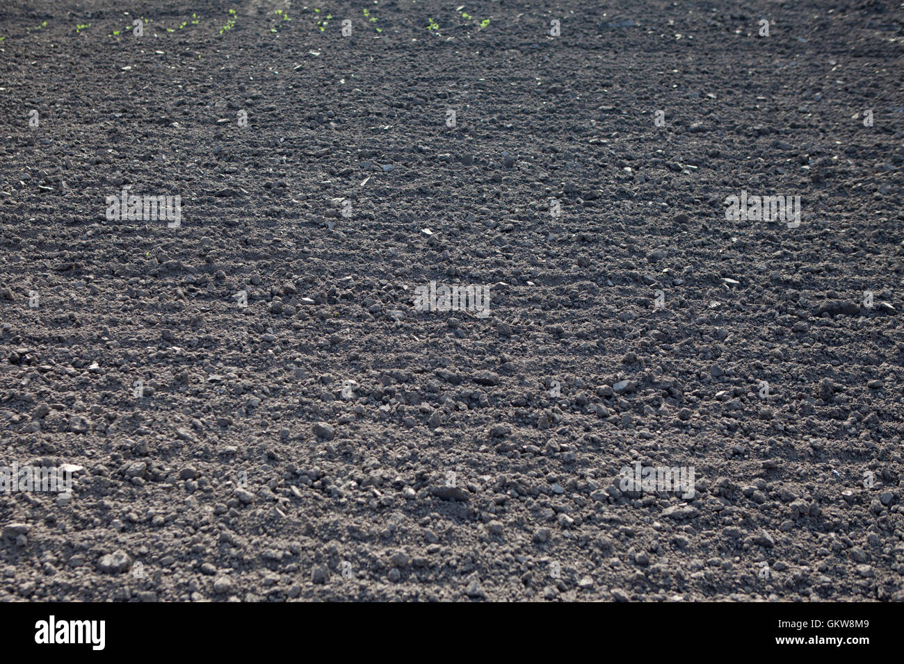 Field backdrop hi-res stock photography and images - Alamy