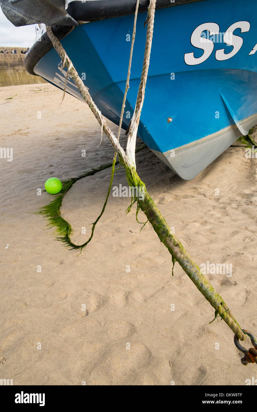 Sleek boat logo hi-res stock photography and images - Alamy