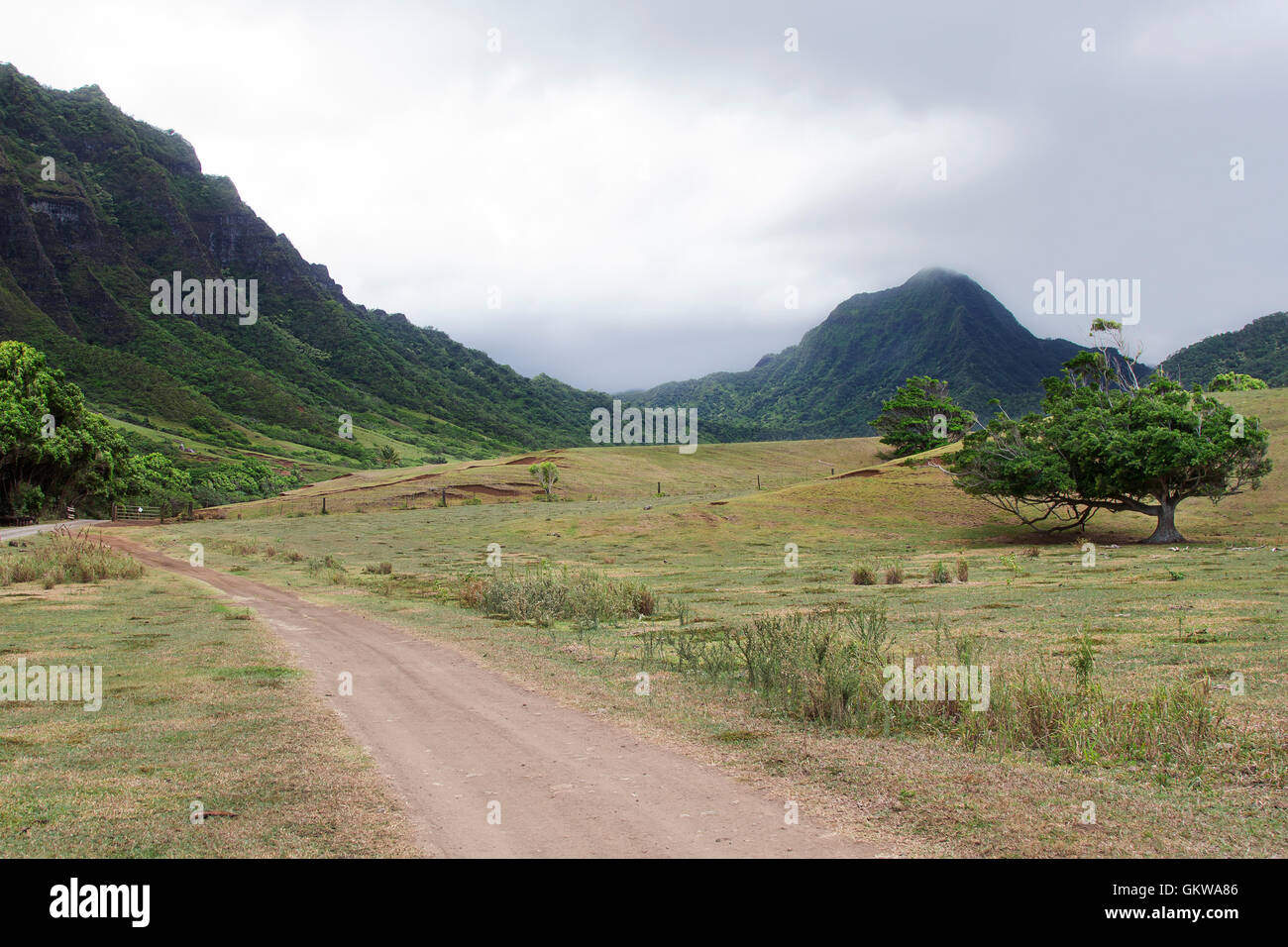 Kahana Valley State Park High Resolution Stock Photography and Images ...