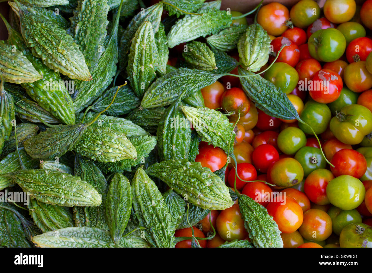 Bitter Melon and Tomatoes Stock Photo - Alamy