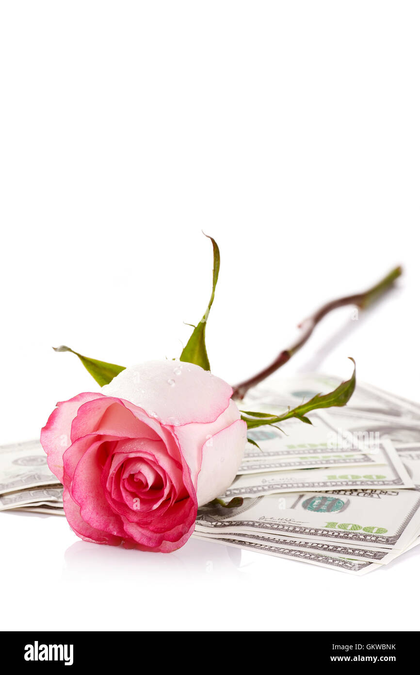 Rose decoration paper surprise gift Cut Out Stock Images & Pictures - Alamy