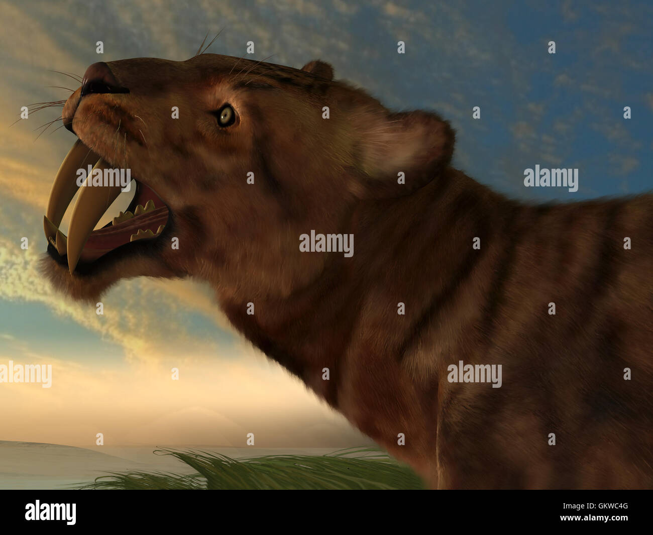 Smilodon pleistocene hi-res stock photography and images - Alamy