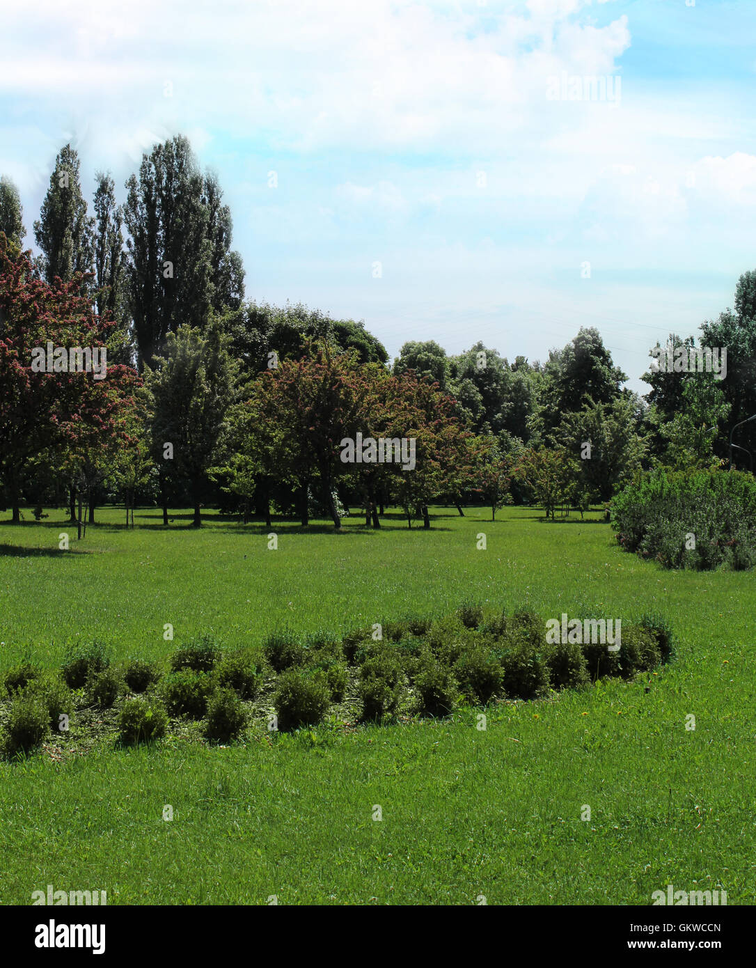 Park in spring time Stock Photo - Alamy