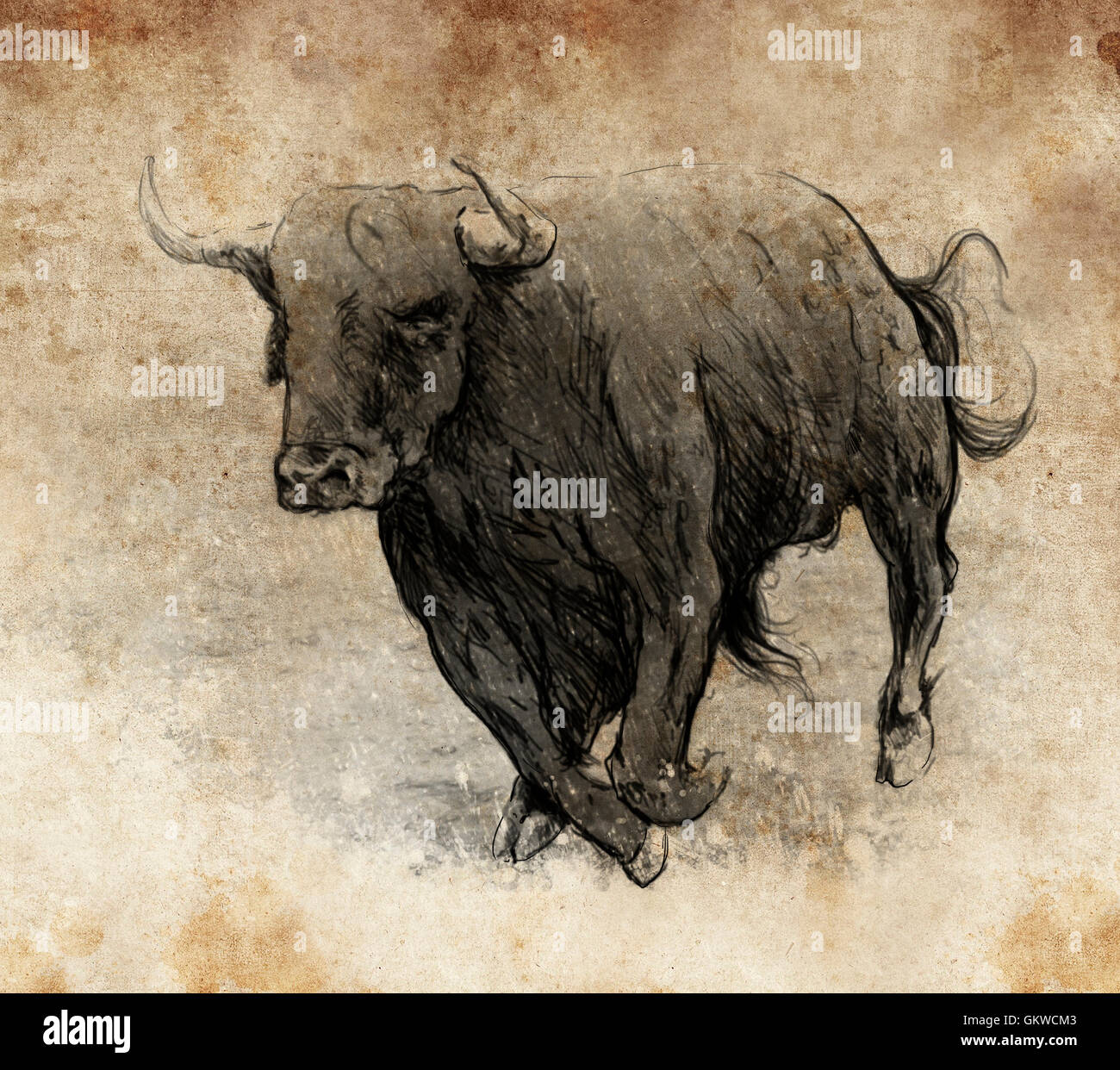 Bull sketch running hi-res stock photography and images - Alamy