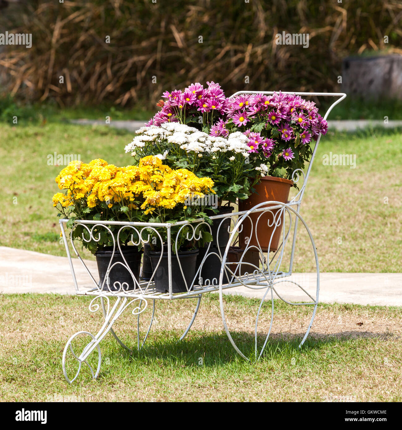 Flower clay pot Stock Photo - Alamy