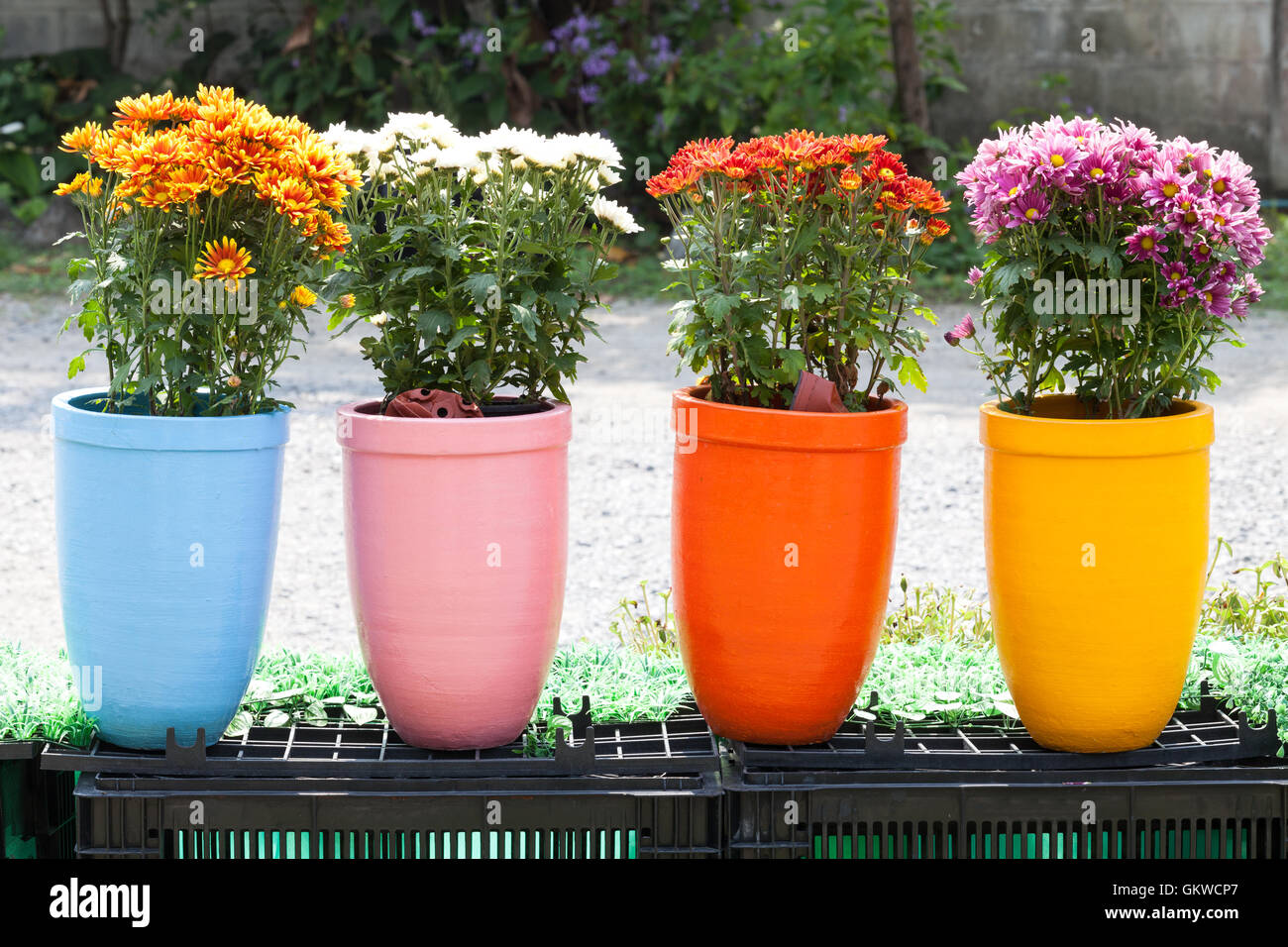 Flower clay pot Stock Photo - Alamy