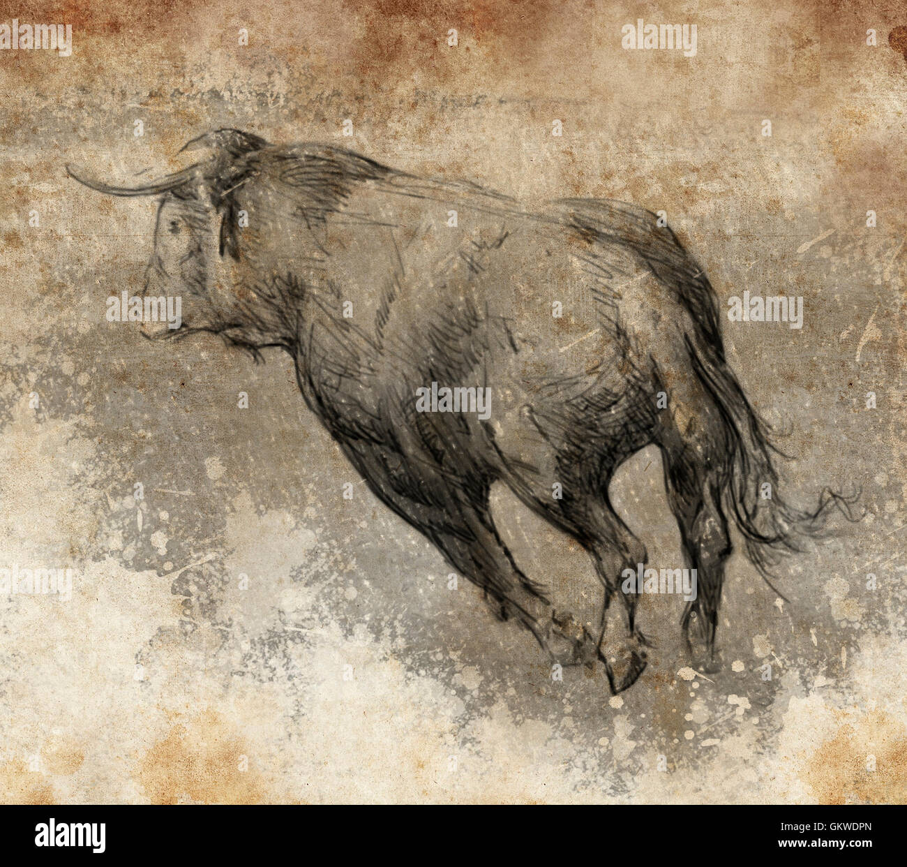 Bull sketch running hi-res stock photography and images - Alamy