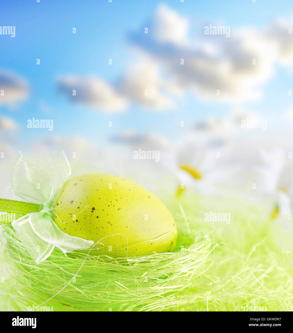 Egg Plant Color High Resolution Stock Photography and Images - Alamy