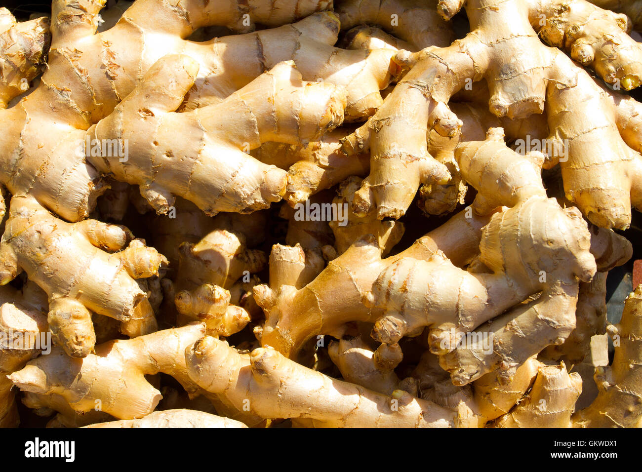 Raw Ginger Root Stock Photo - Alamy