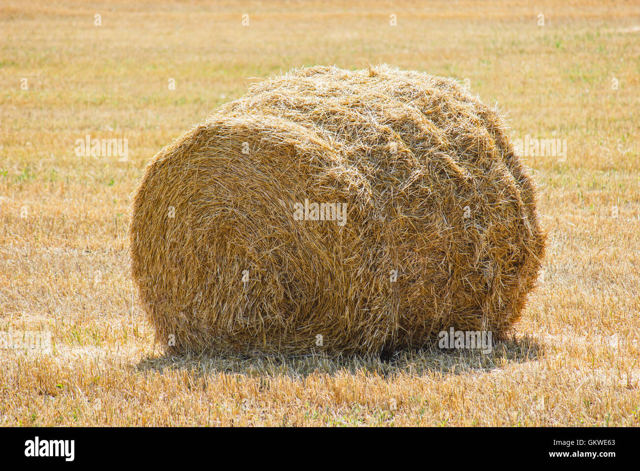 Rolled dried grass hi-res stock photography and images - Alamy