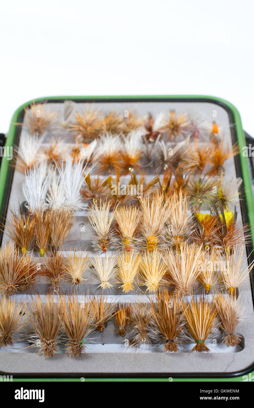 Fly Box Detail Dry Flies Stock Photo - Alamy
