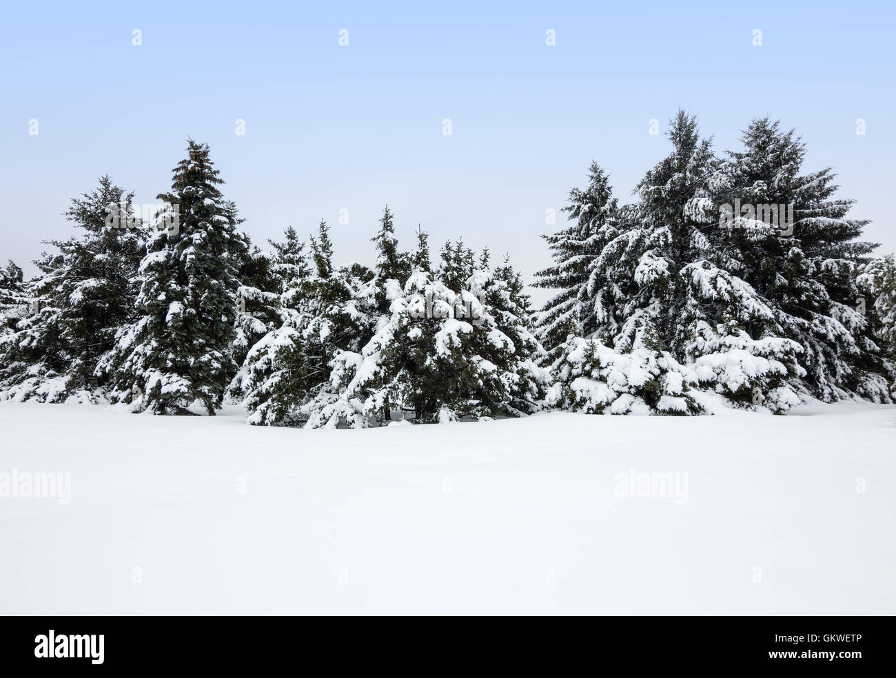 Day after the snowstorm hi-res stock photography and images - Alamy
