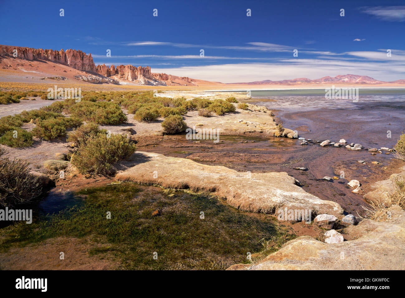 salt lake Salar de Tara, Chile Stock Photo - Alamy