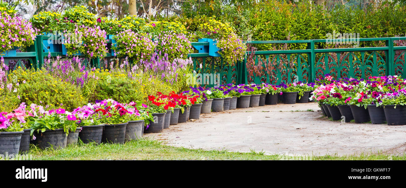 Pathway in the garden Stock Photo - Alamy