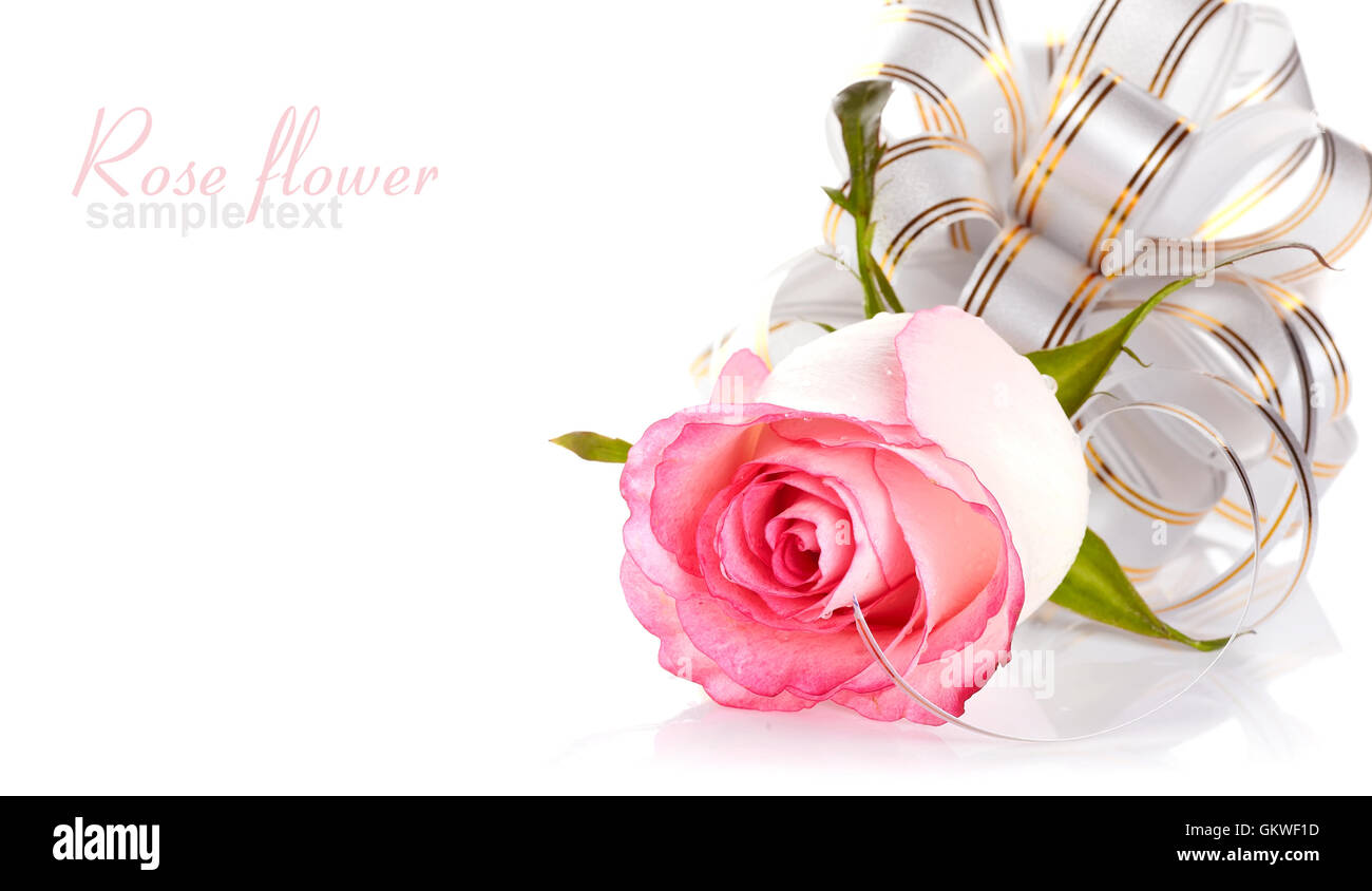 Rose gold bow and ribbon hi-res stock photography and images - Alamy