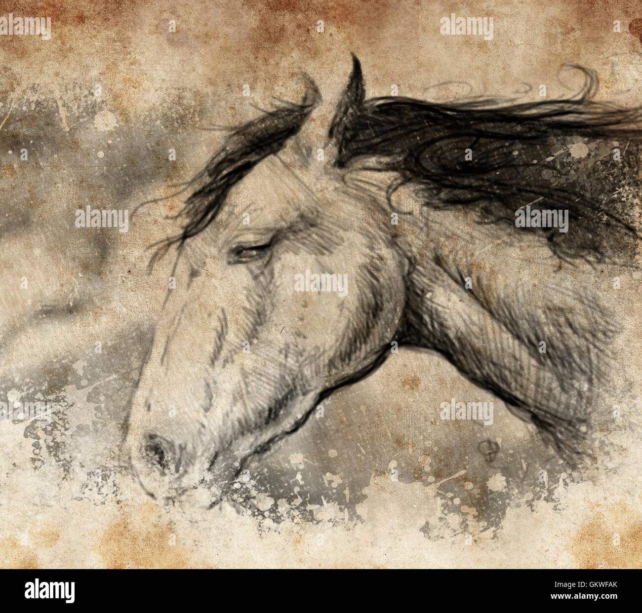 Sketch made with digital tablet, horse head Stock Photo - Alamy