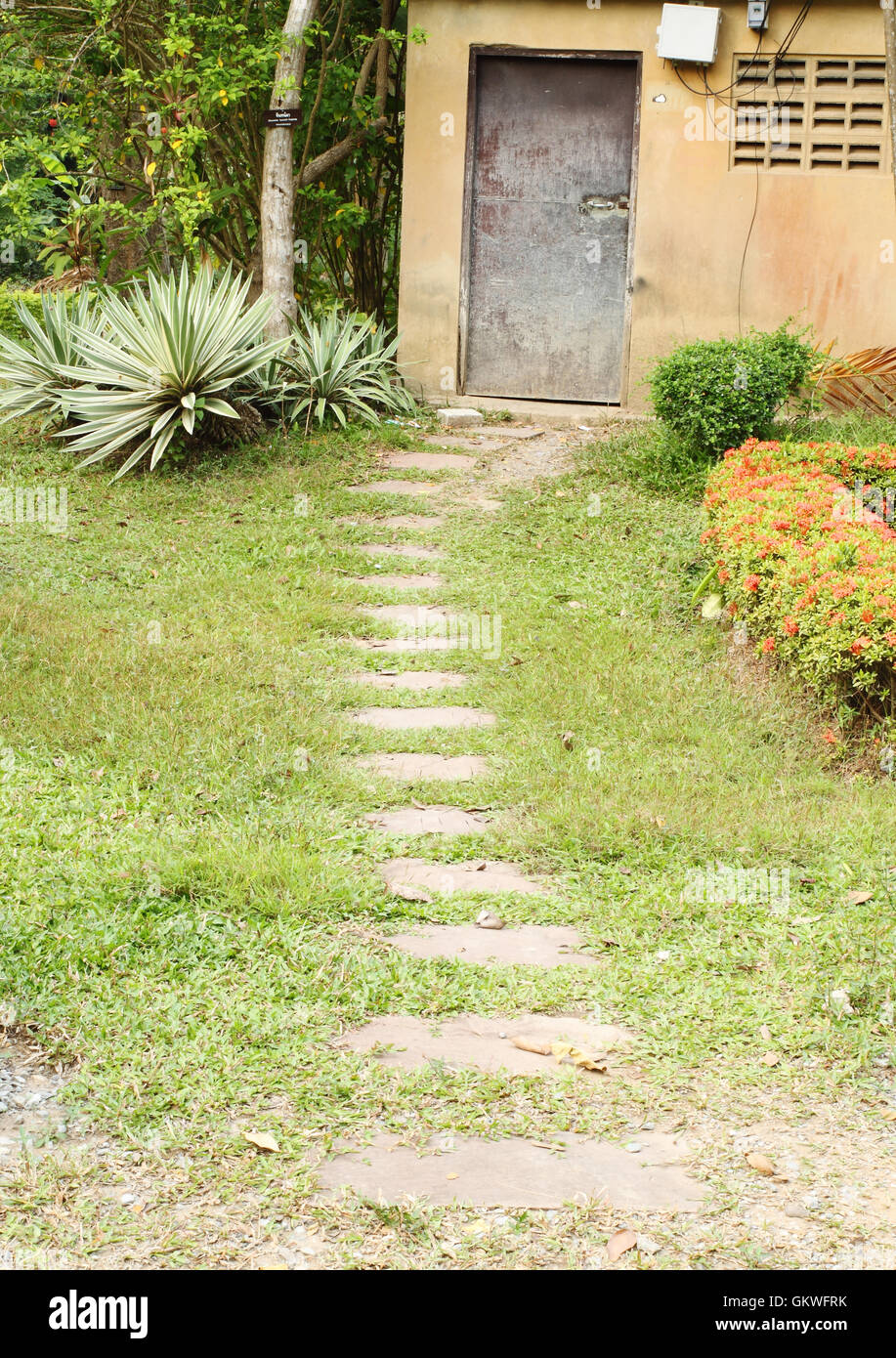 pathway to the door Stock Photo - Alamy