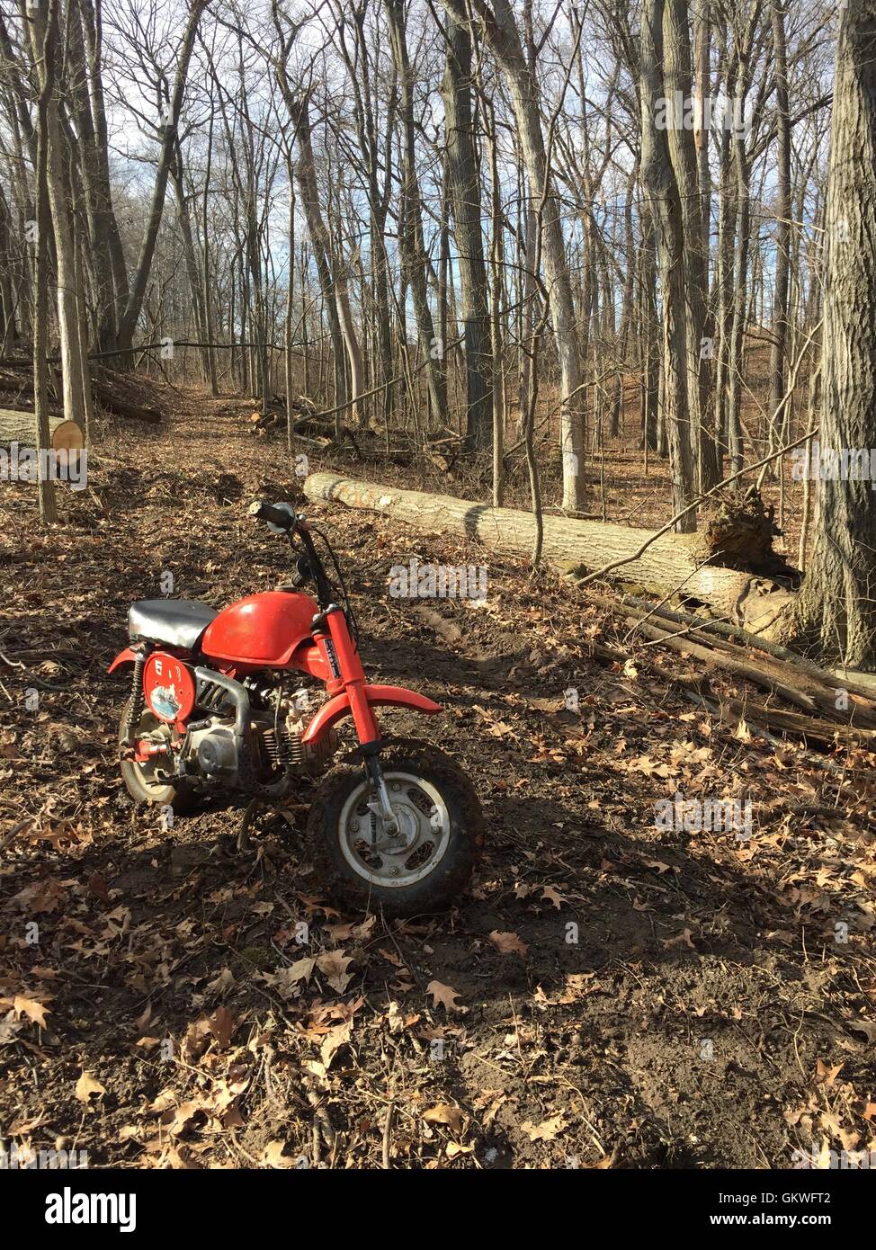 Mini bike hi-res stock photography and images - Alamy