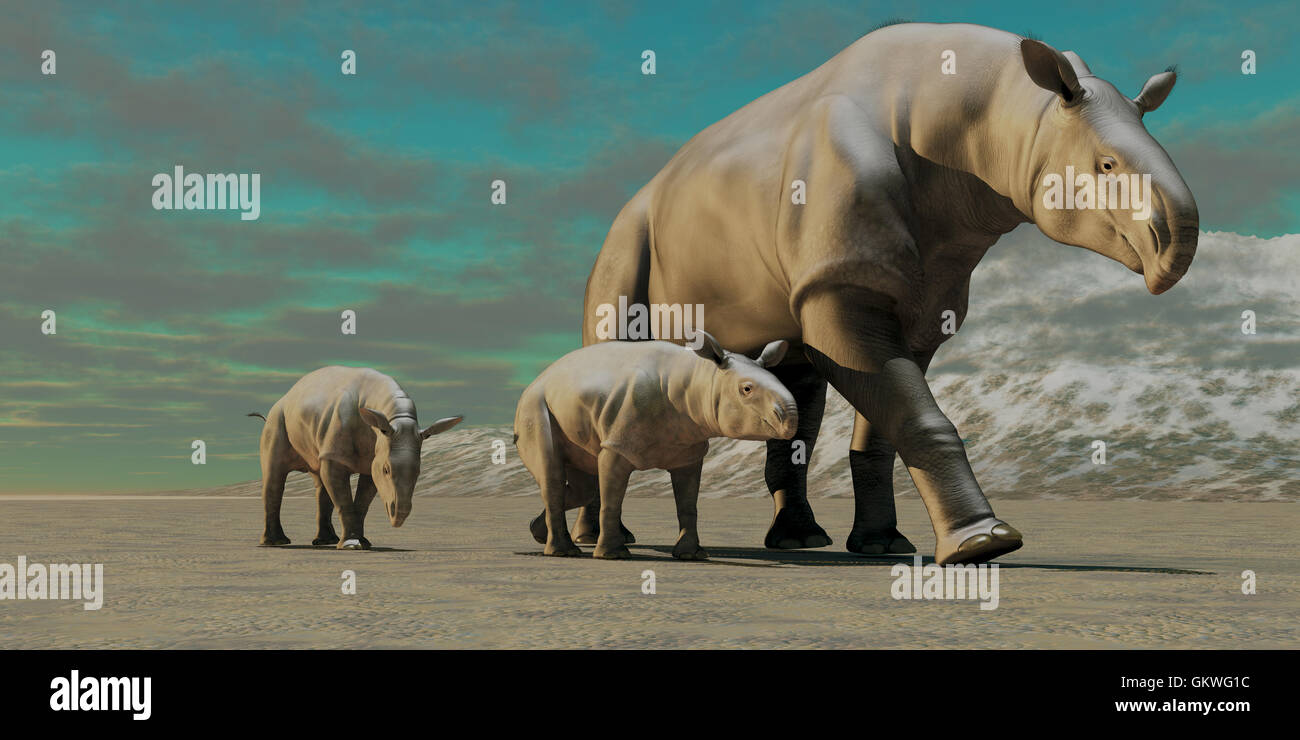 Baluchitherium hi-res stock photography and images - Alamy