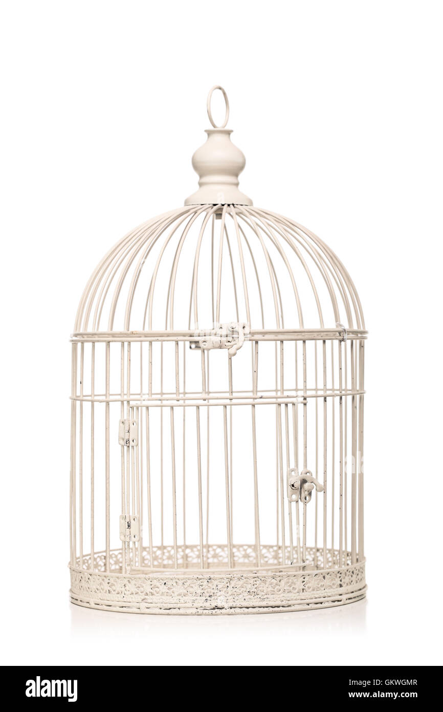 Captive bird cage hi-res stock photography and images - Alamy
