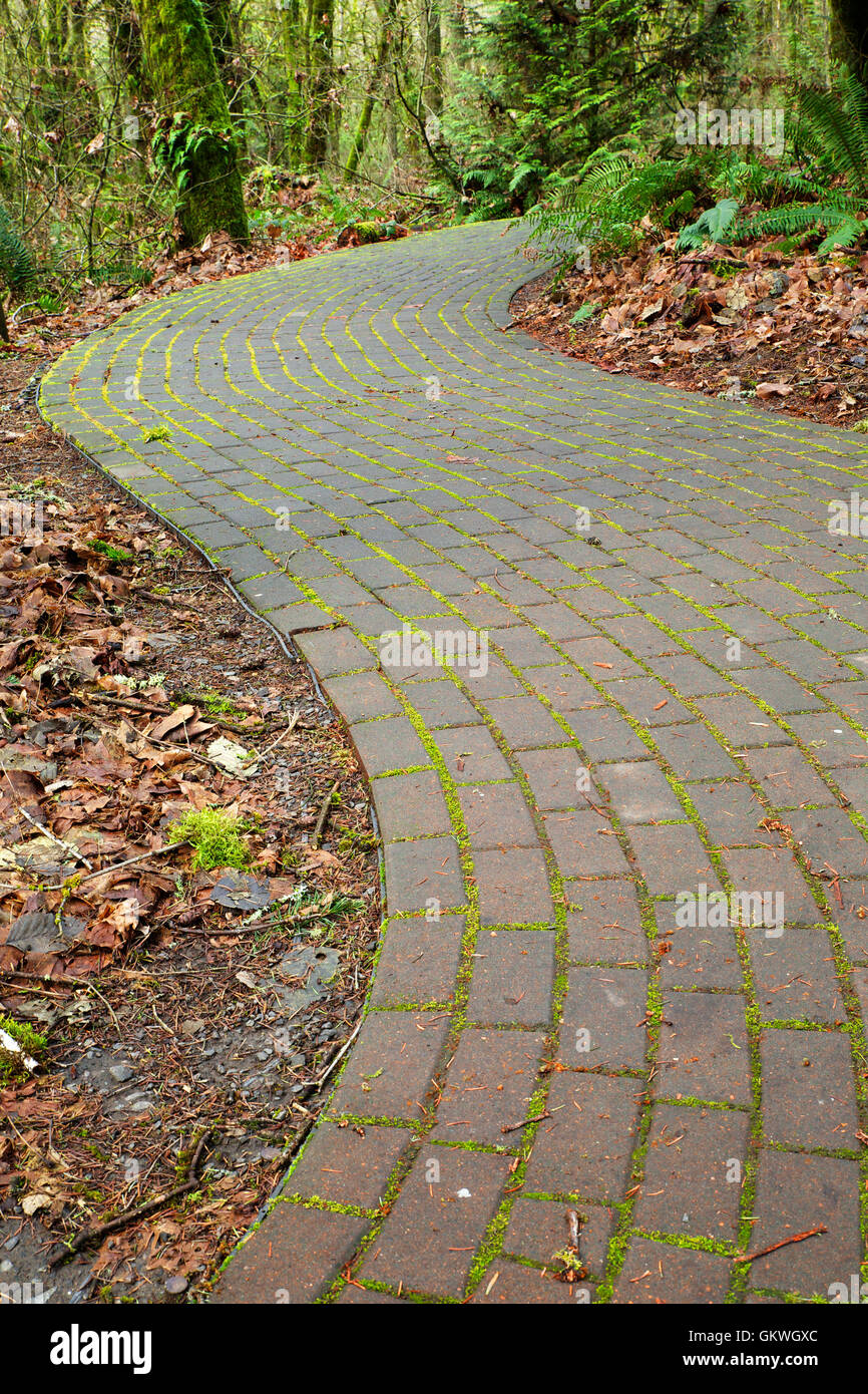 Mossy curved brick path Stock Photo - Alamy