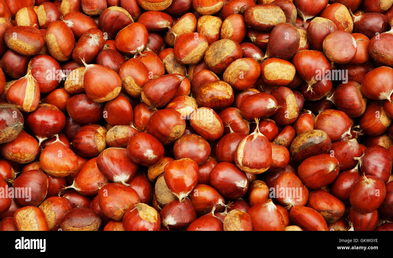 Shiny nut brown seeds hi-res stock photography and images - Alamy